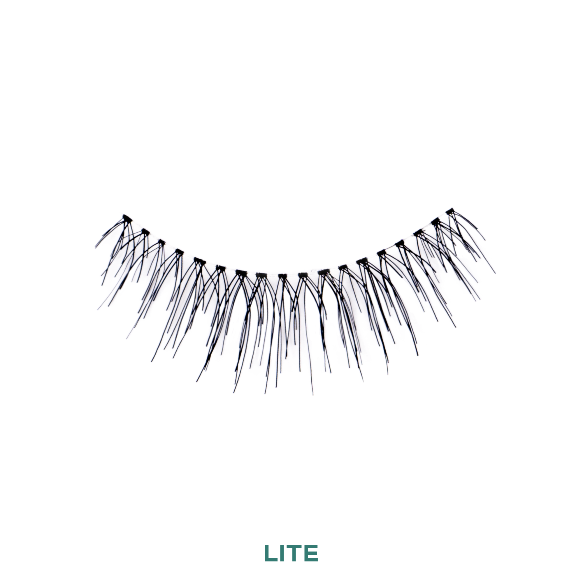 ESSENTIAL LASH KIT – hannahchobeauty
